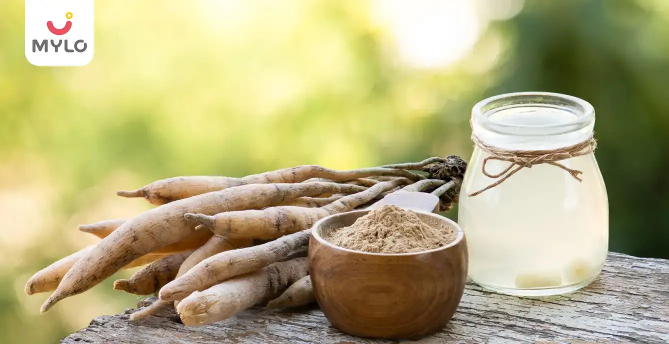 8 Incredible Shatavari Powder Uses for Men and Women | MyloFamily