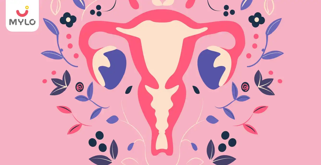 Fat Vagina: Average Size, Types, Causes & More | MyloFamily